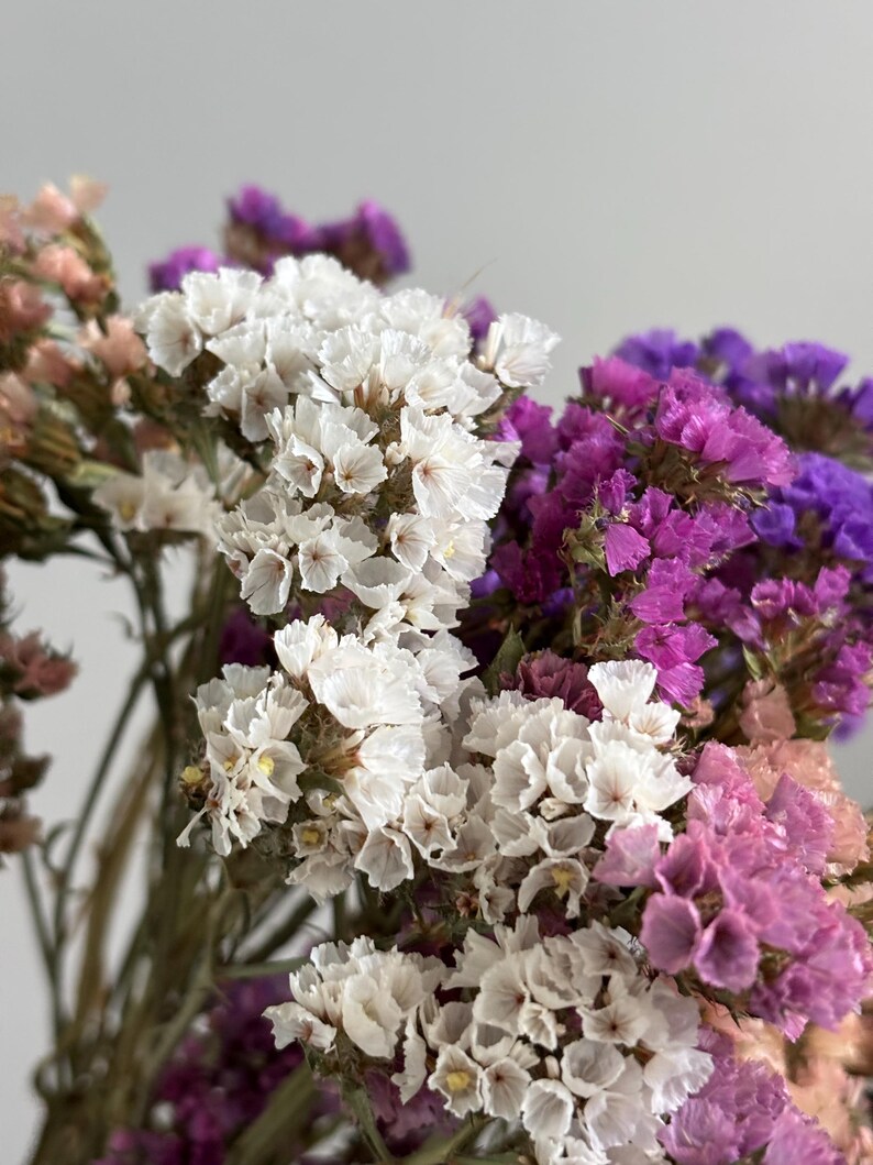 Dried Statice Bunch, Dried Mixed Color Flowers, Bouquet Filler - Etsy