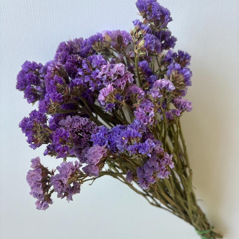 Statice Flowers - Etsy