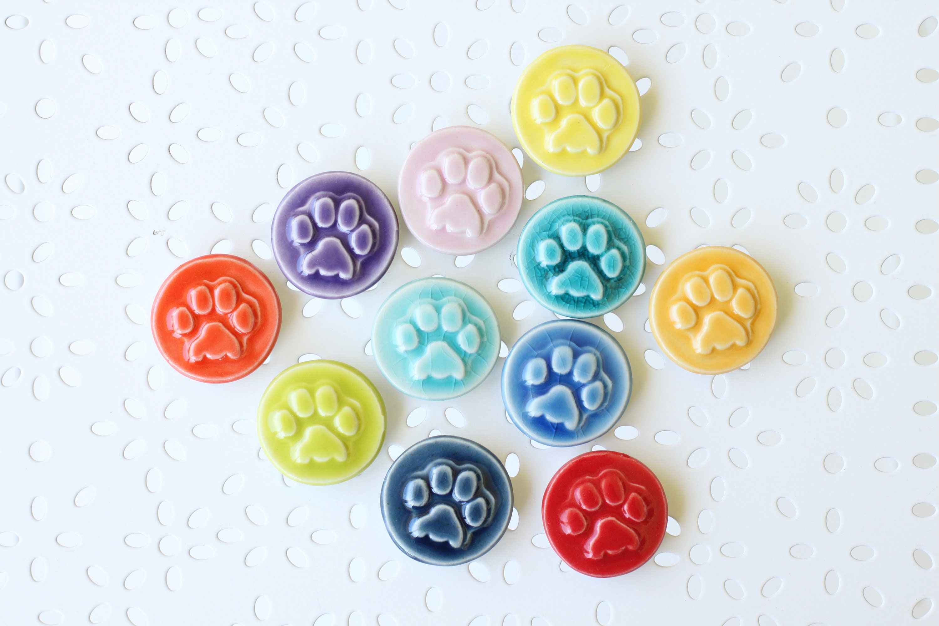 paw magnets set of six