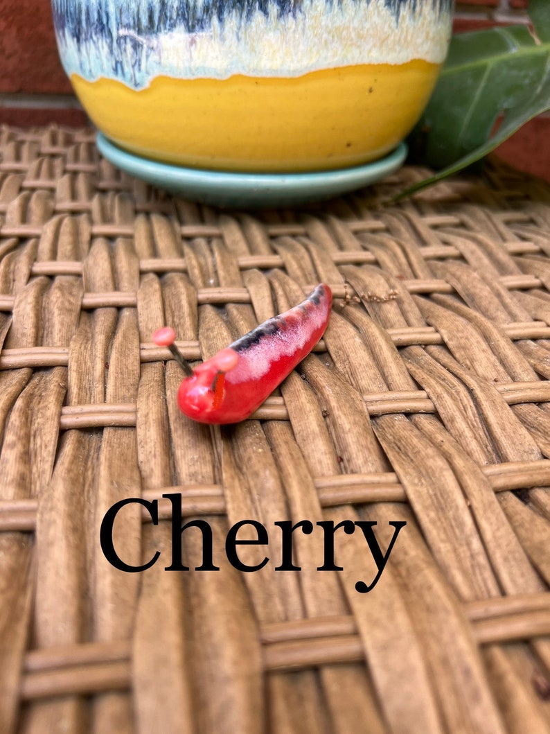 Garden Slug Choose Your Color // Plant Bugs // Ceramic Slug - Etsy