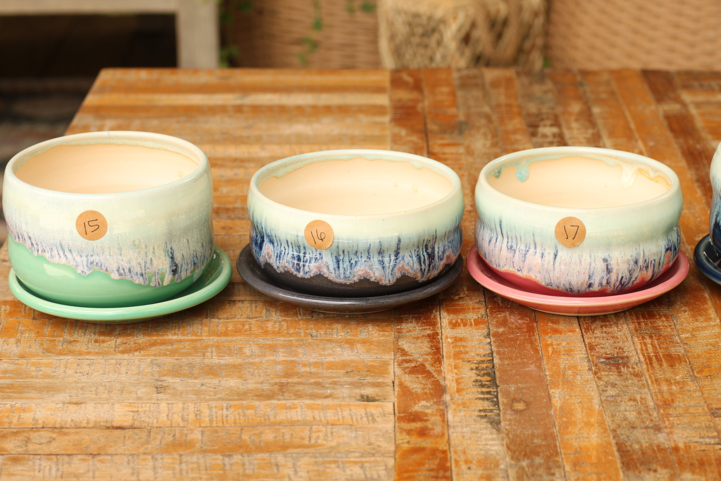 shallow planter, choose your favorite // aqua cactus planter ...