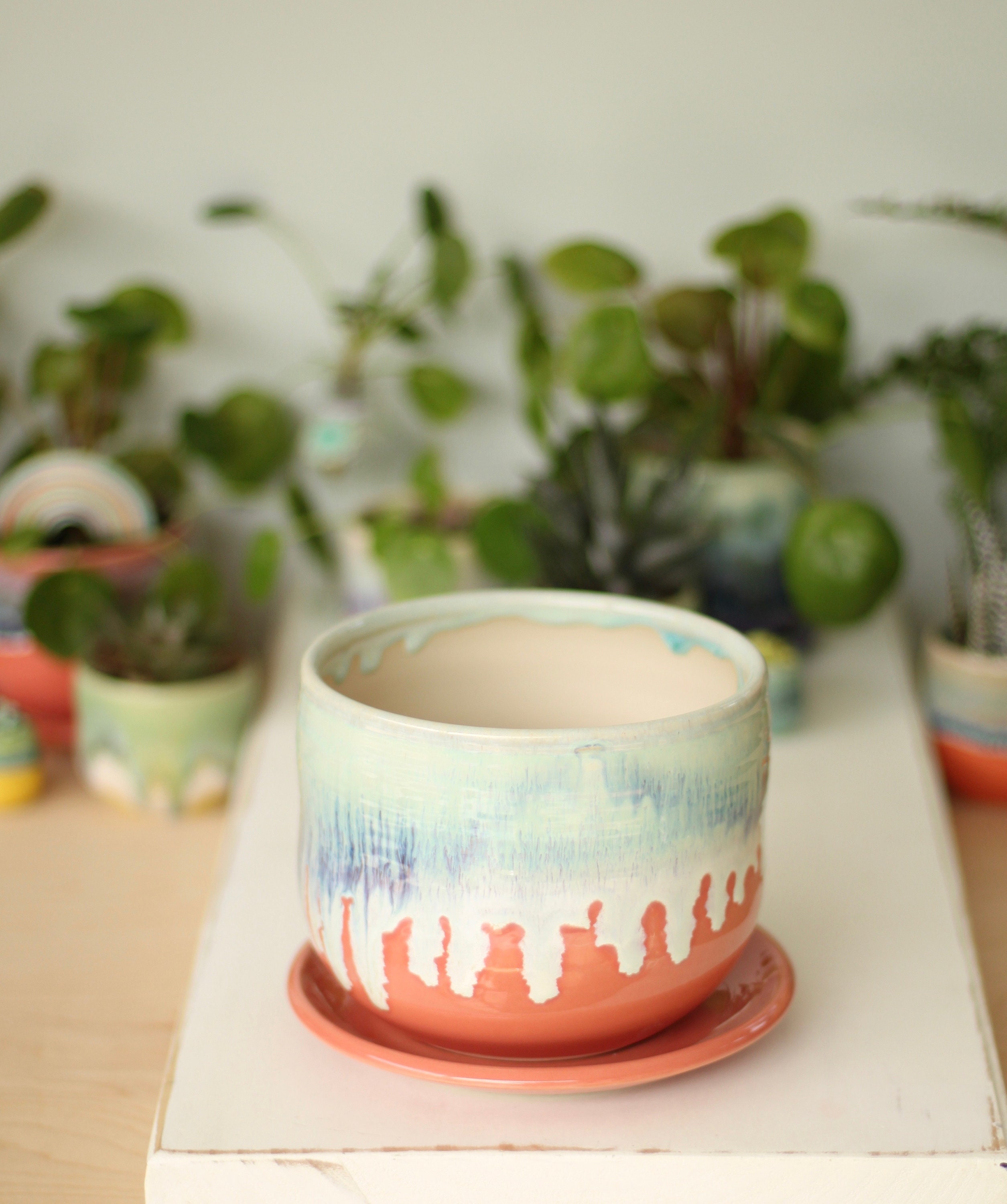 coral planter // cactus planter // handmade planter pot // ceramic pot ...