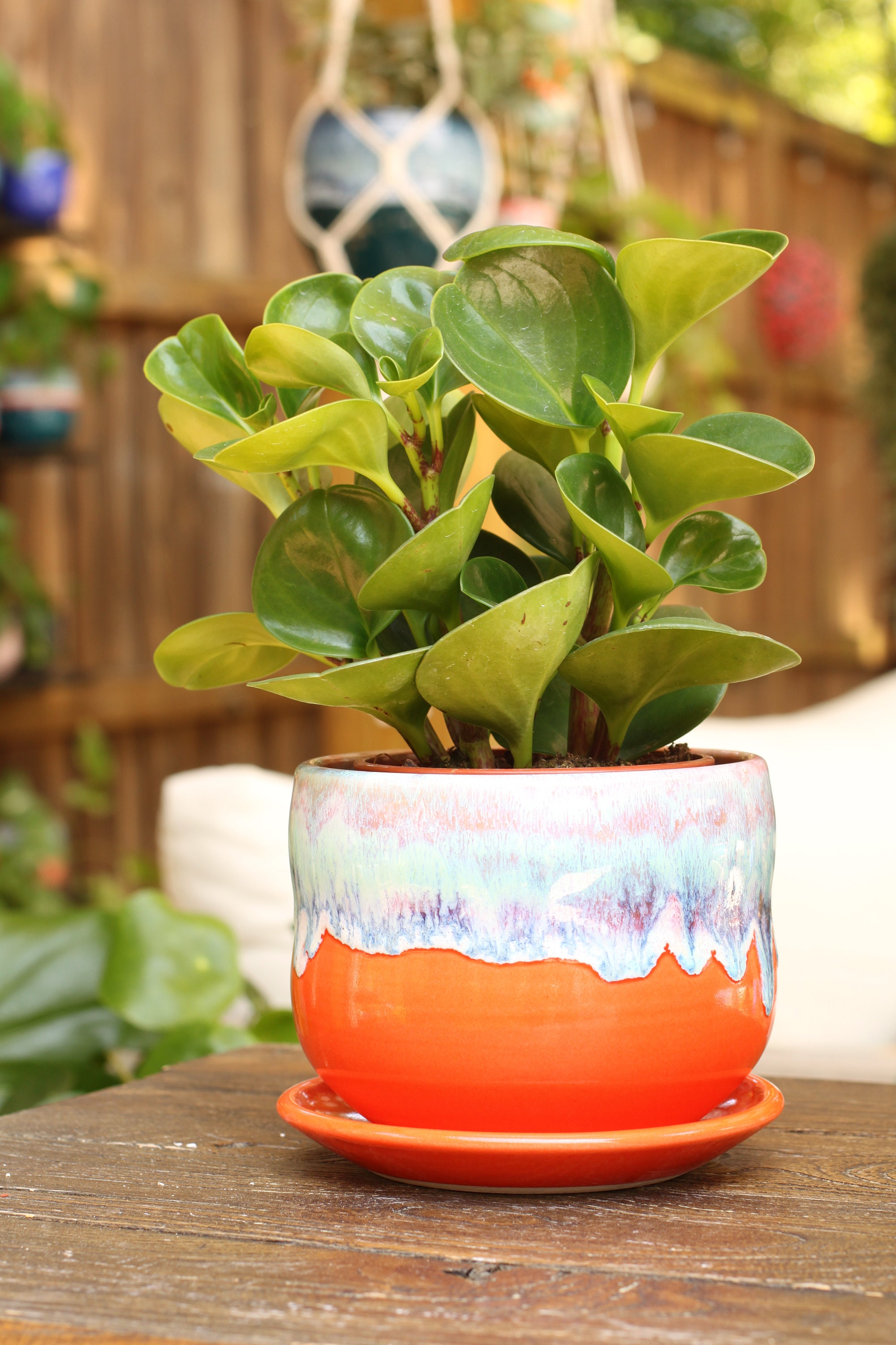 mango orange plant pot 9 // boho planter // succulent pot // ceramic ...