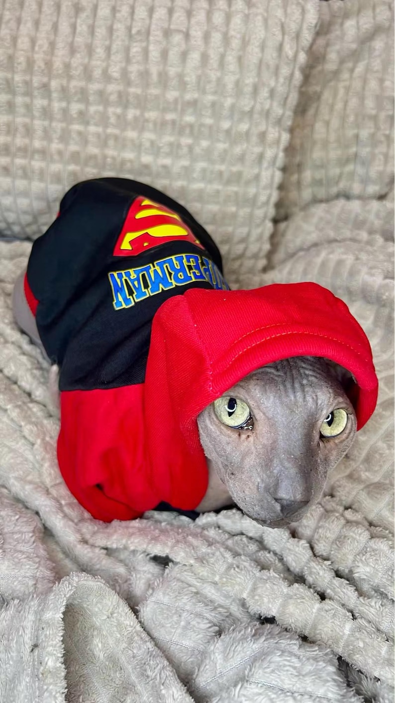 Superman Inspired Pet Clothes for Cats & Dogs Heroic Pet Fashion Outfit ...