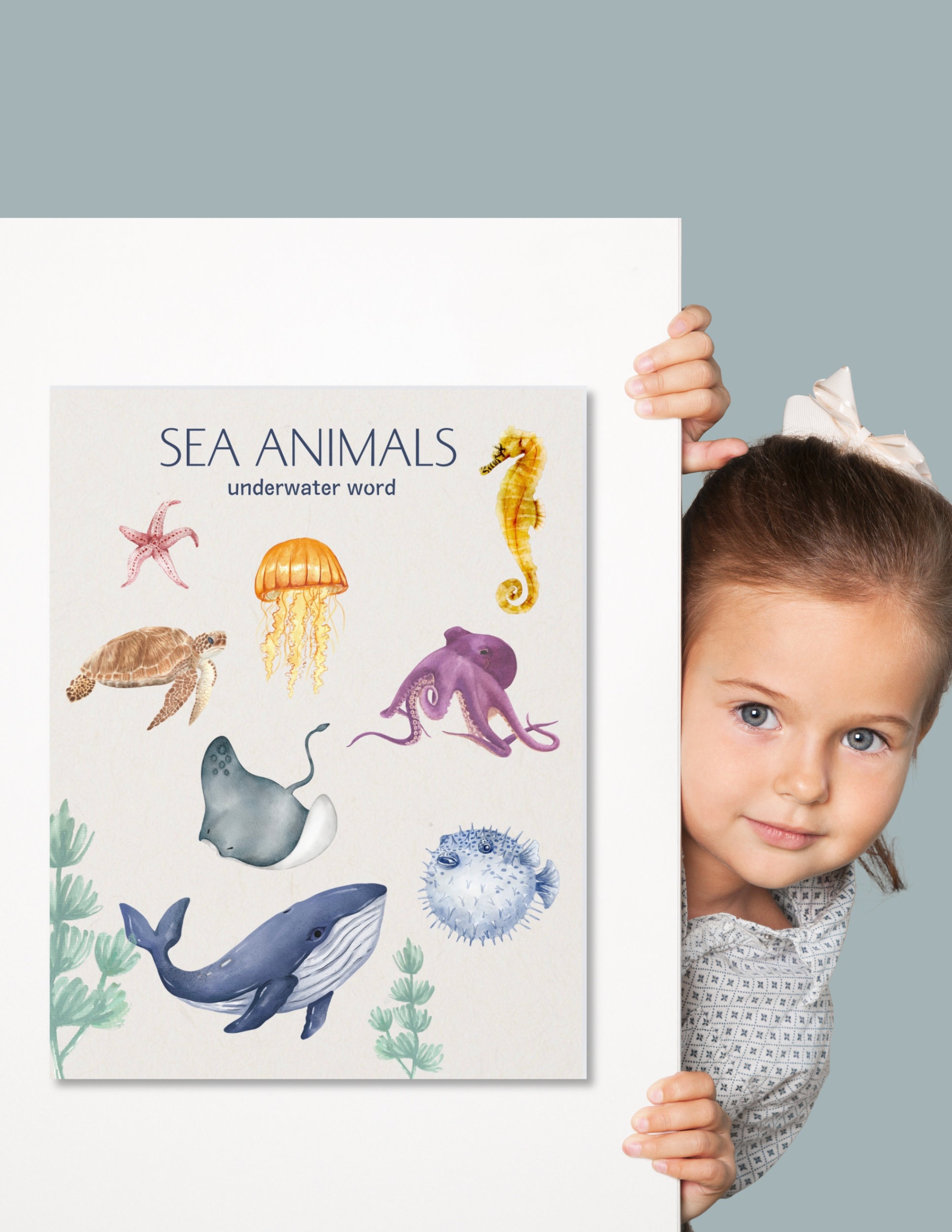 Poster | Kids Education Poster | Sea Animals | Sea Animals Poster ...