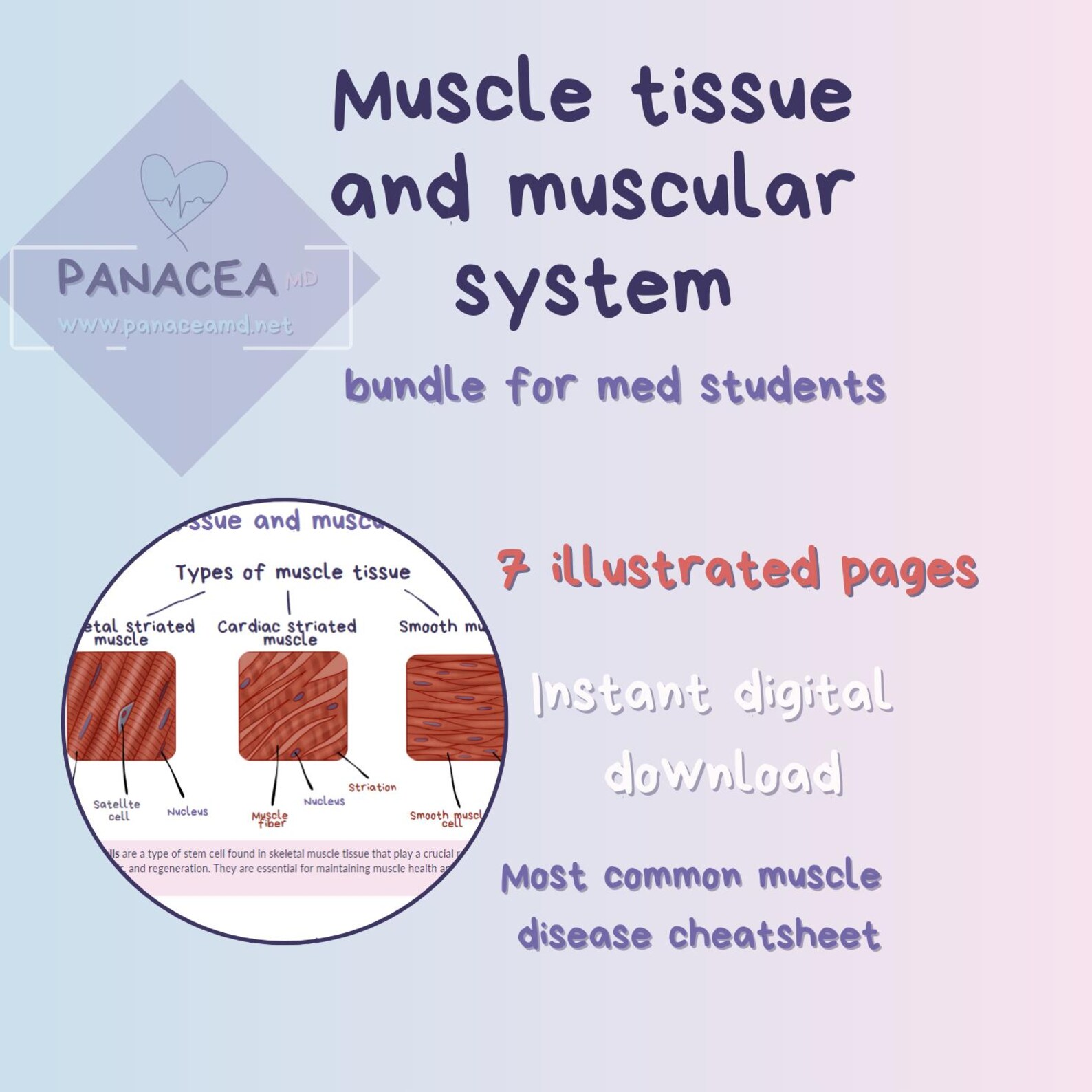 Muscle Tissue and Muscular System Anatomy Disease Bundle Study Guide ...