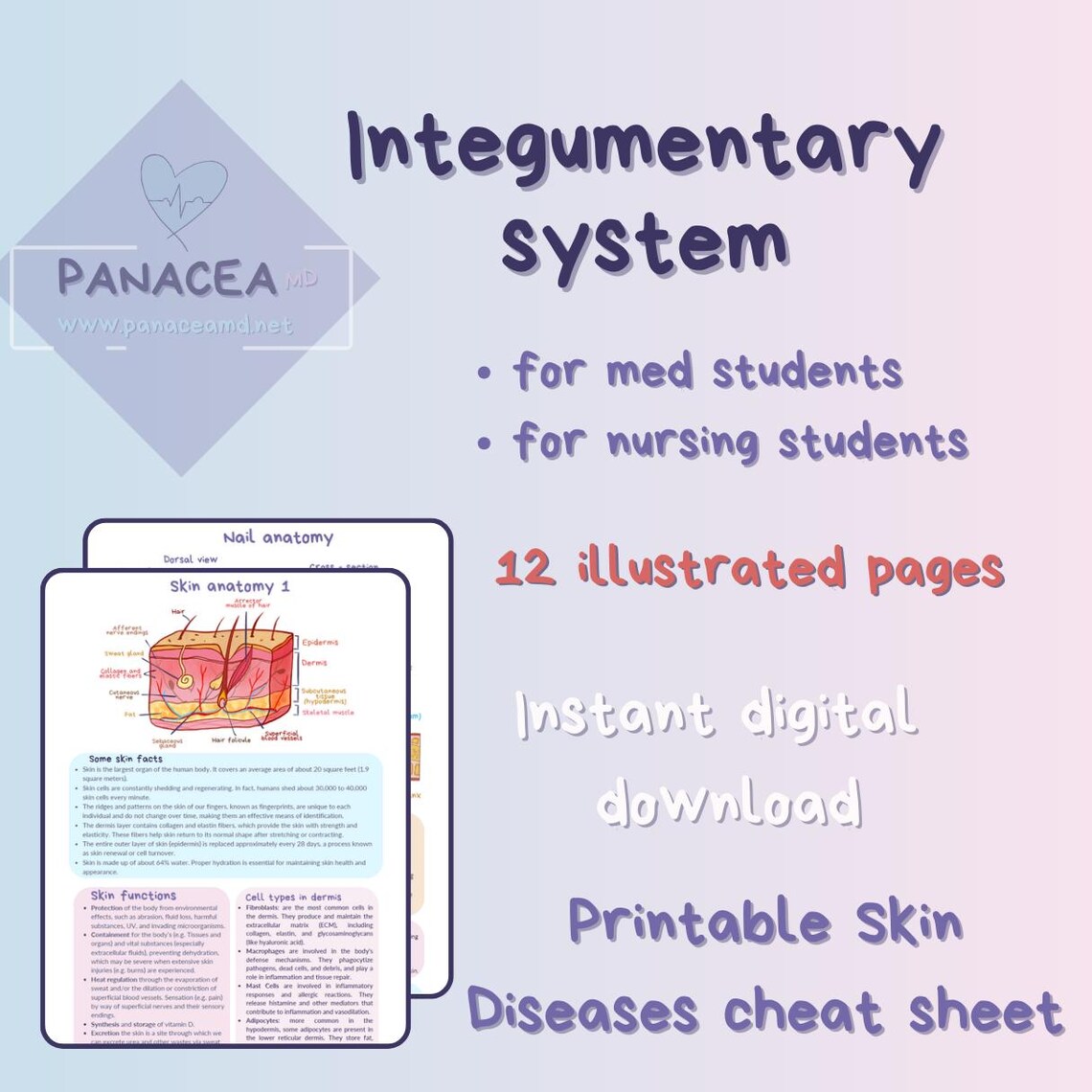 Integumentary System Anatomy and Skin Disease Bundle Study Guide for ...