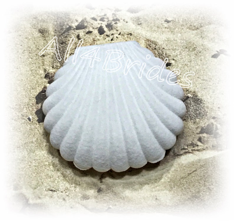 Seashell Clam Ring Holder Beach Wedding or Proposal Ring Box - Etsy