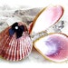Beach Wedding Set of Two Clam Seashell Ring Boxes for Bride and Groom ...