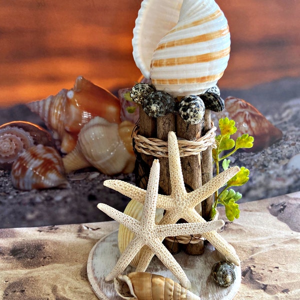 Seashell Cake Topper - Etsy