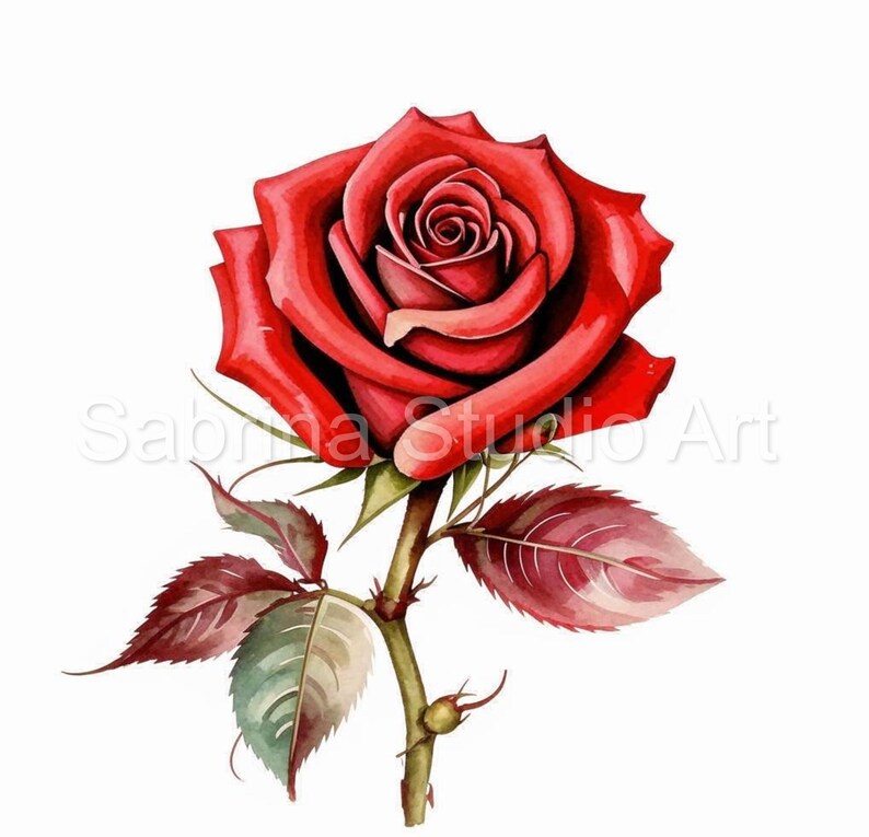 Rose Watercolor, Clip Art, Png Rose Set, Digital Use, Digital Stickers ...