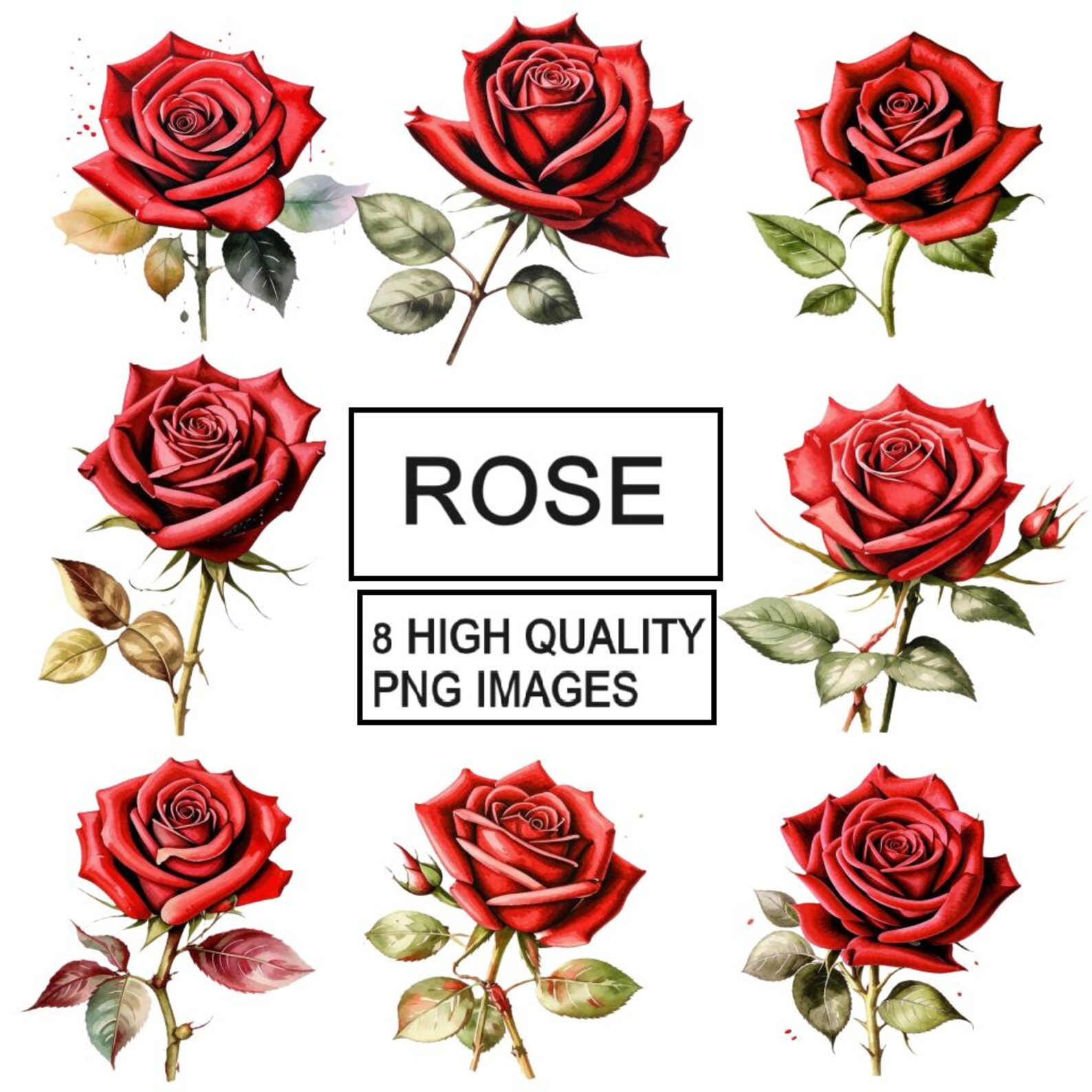 Rose Watercolor, Clip Art, Png Rose Set, Digital Use, Digital Stickers ...