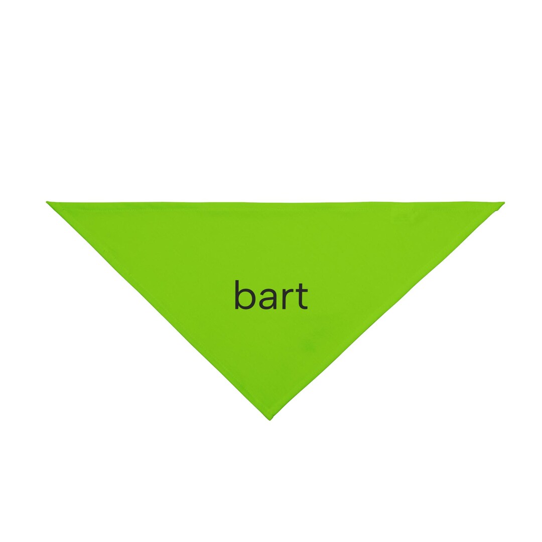 BART Name Charli XCX Brat Inspired Album Art Pet Bandana - Etsy