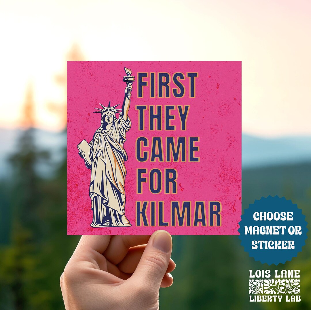 Pink Statue of Liberty Magnet/bumper Sticker, First They Came for ...