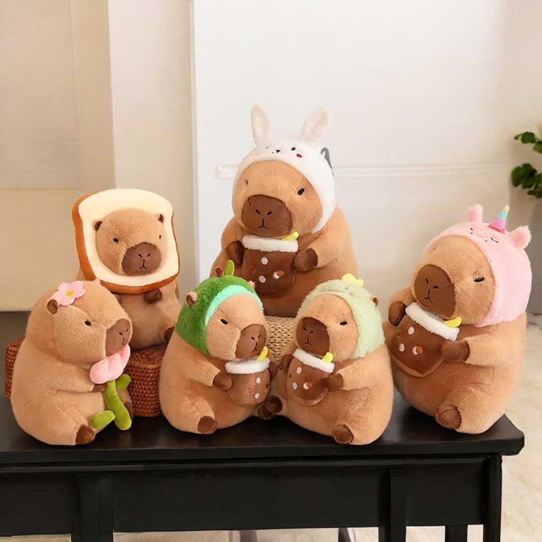 Capybara, Capybara Plush, Capybara Plush Toy, Capybara Plush Free ...