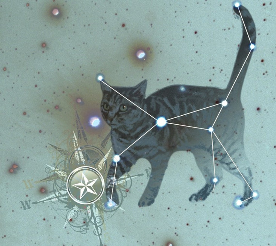 Constellation Cat Art Print Star Map Starry Sky Animal | Etsy
