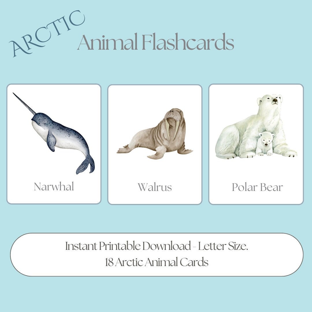 Arctic Animal Flashcards Montessori Flashcards Preschool Flashcards ...