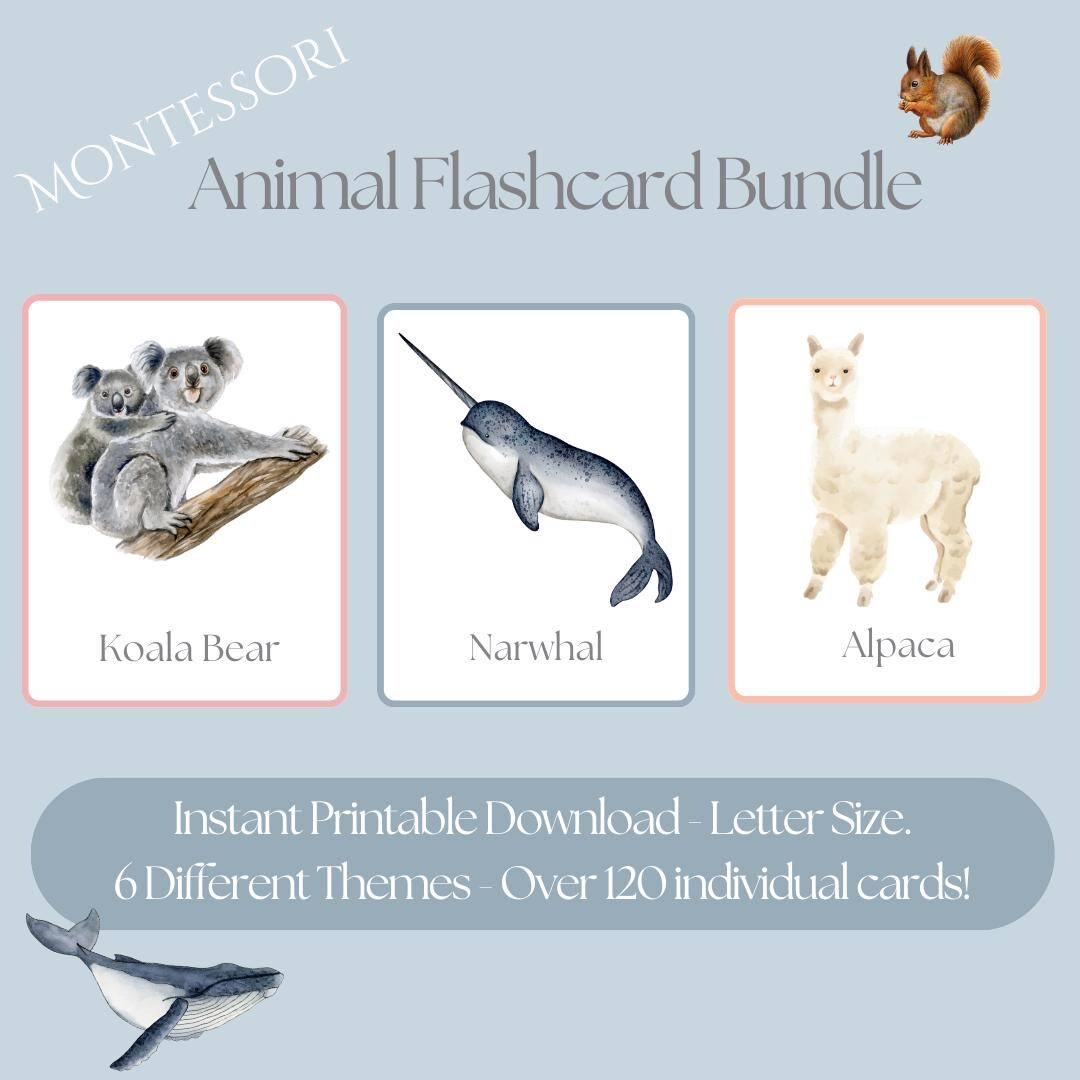 Montessori Animal Flashcard Bundle Watercolor Animal Flashcards Montessori Flashcards Animal ...