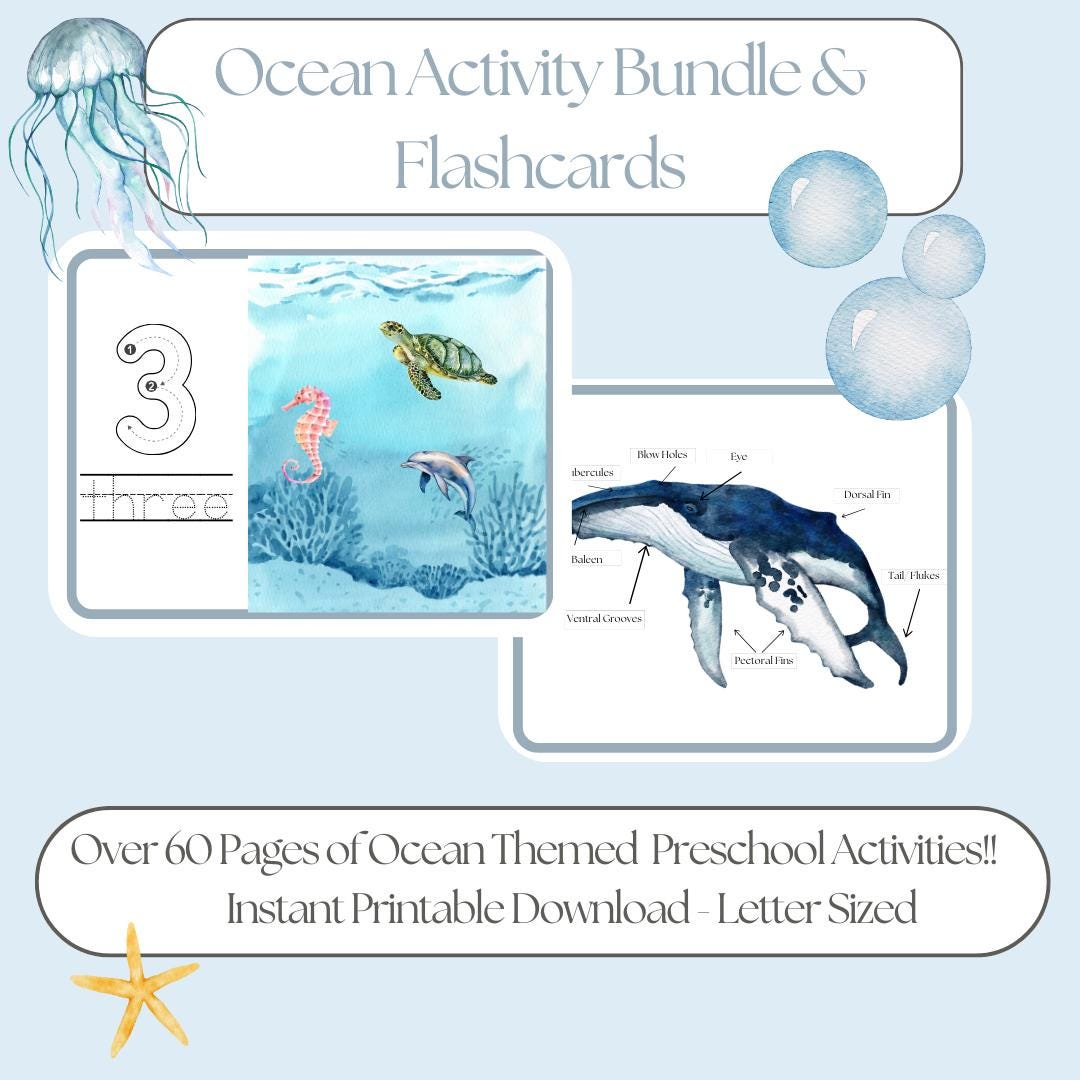 Ocean Animal Activity Pack | Ocean Unit Study | Ocean Morning Basket ...