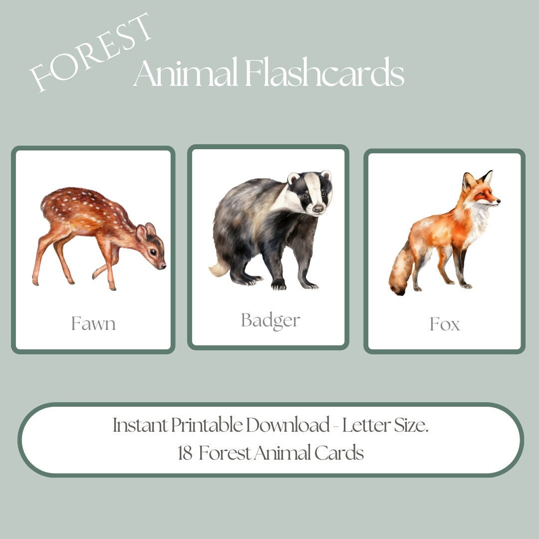 Forest Animal Flashcards Montessori Flashcards Toddler Flashcards ...