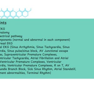 Veterinary Note, EKG Interpretation, Veterinary Technician Study Note ...