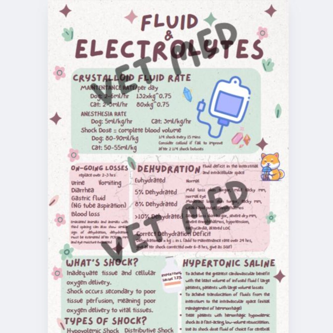 Veterinary Note, Emergency Fluid Therapy Note, Veterinary Technician ...