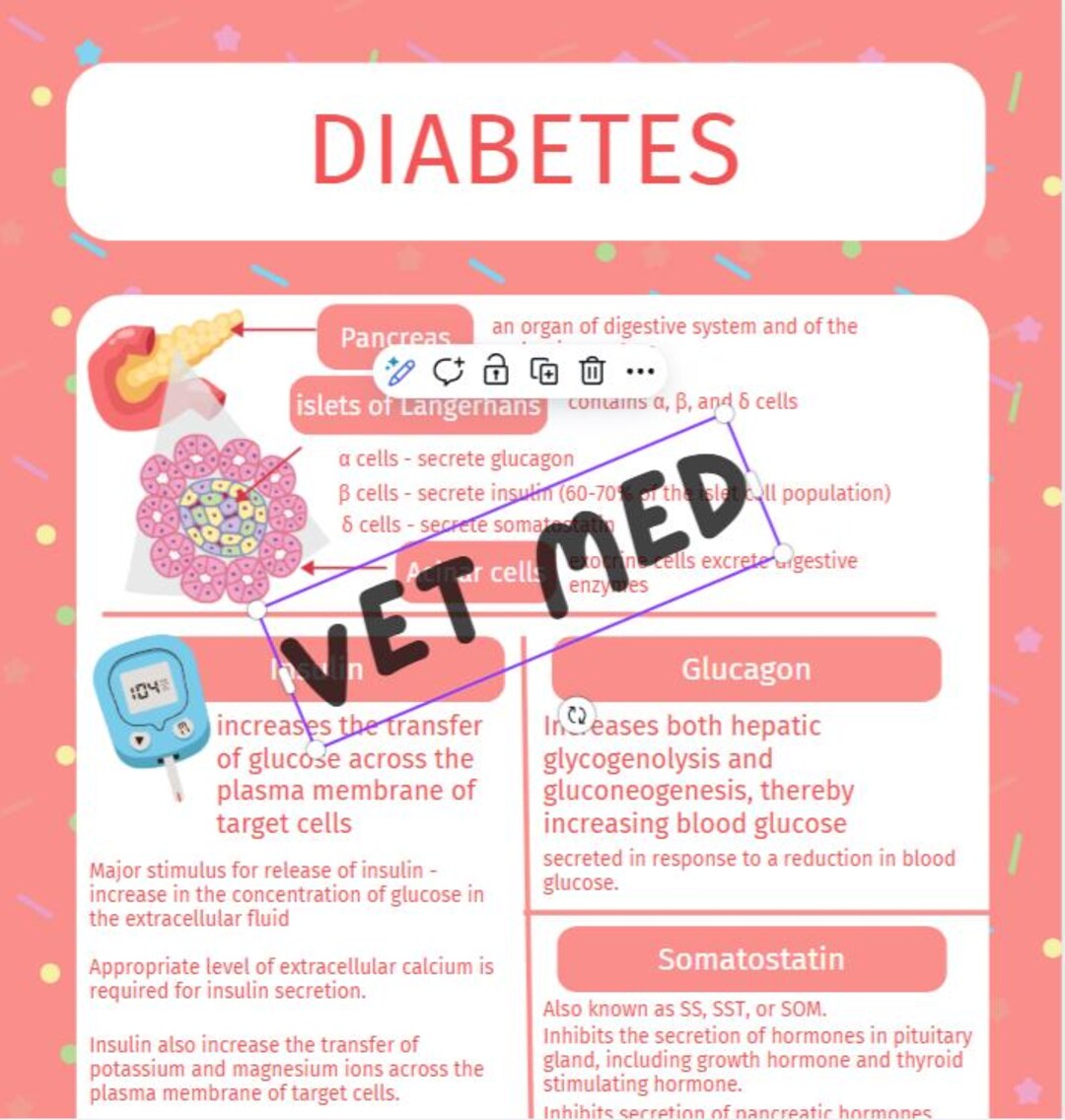 Veterinary Med Note, Diabetes in Cats and Dogs, Veterinary Technician ...
