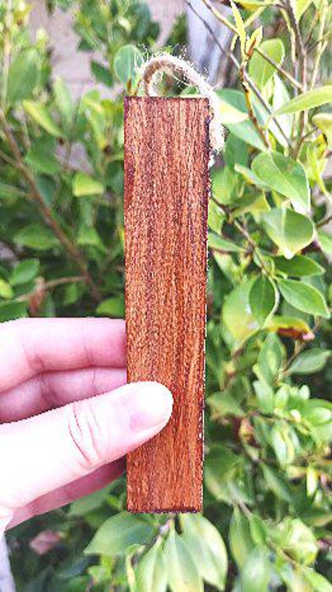 Custom 3D Cat Portrait, Full Moon Hand-painted Cat Shadow Boxes, Cat ...