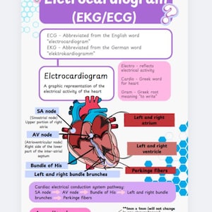 Veterinary Note, EKG Interpretation, Veterinary Technician Study Note ...