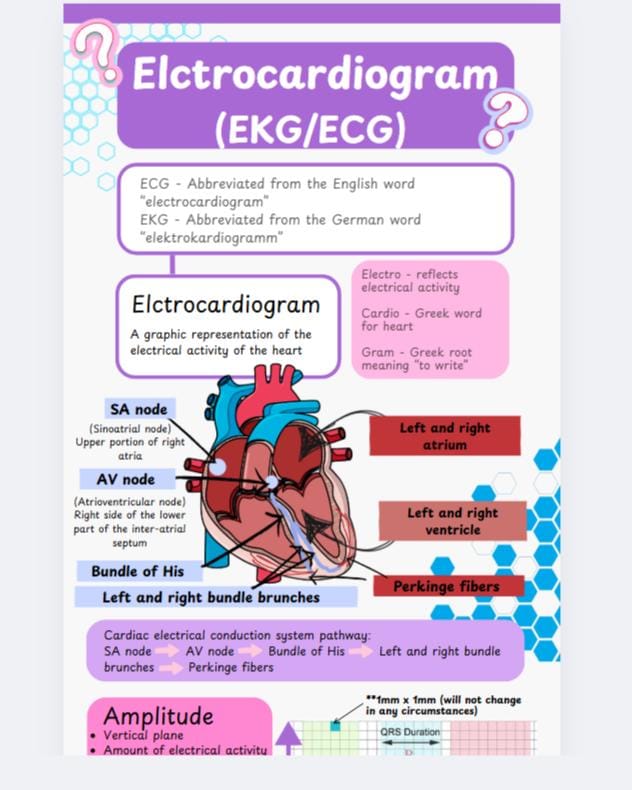 Veterinary Note, EKG Interpretation, Veterinary Technician Study Note ...