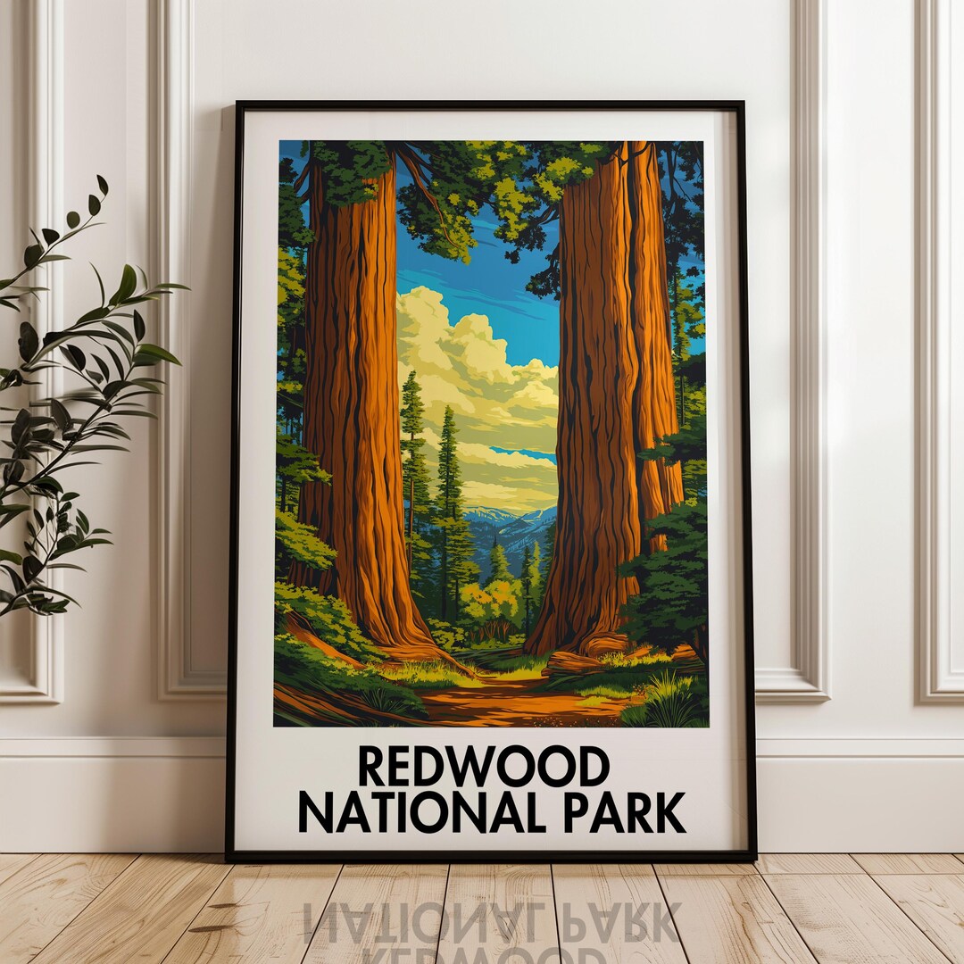 Redwood National Park Travel Poster, California Art Print, Giant ...