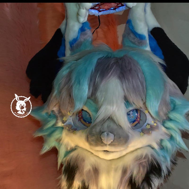 Shark Fursuit - Etsy