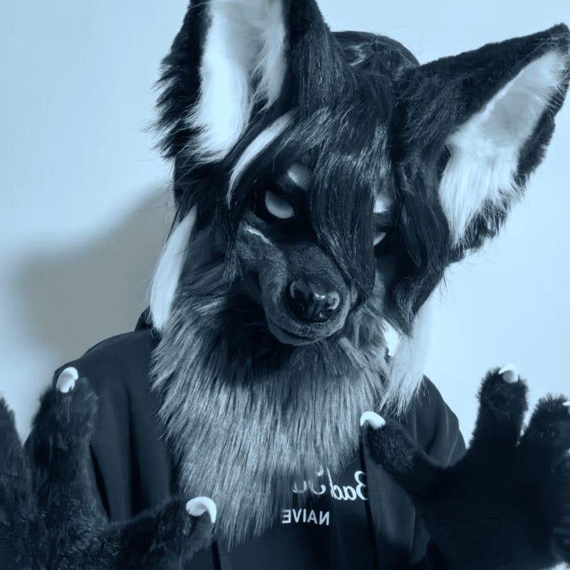 Full fursuit - Etsy México
