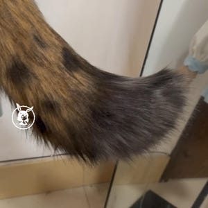 Customizable Fursuit Tail, Fursuit Remote Electric Tail,fursuit ...