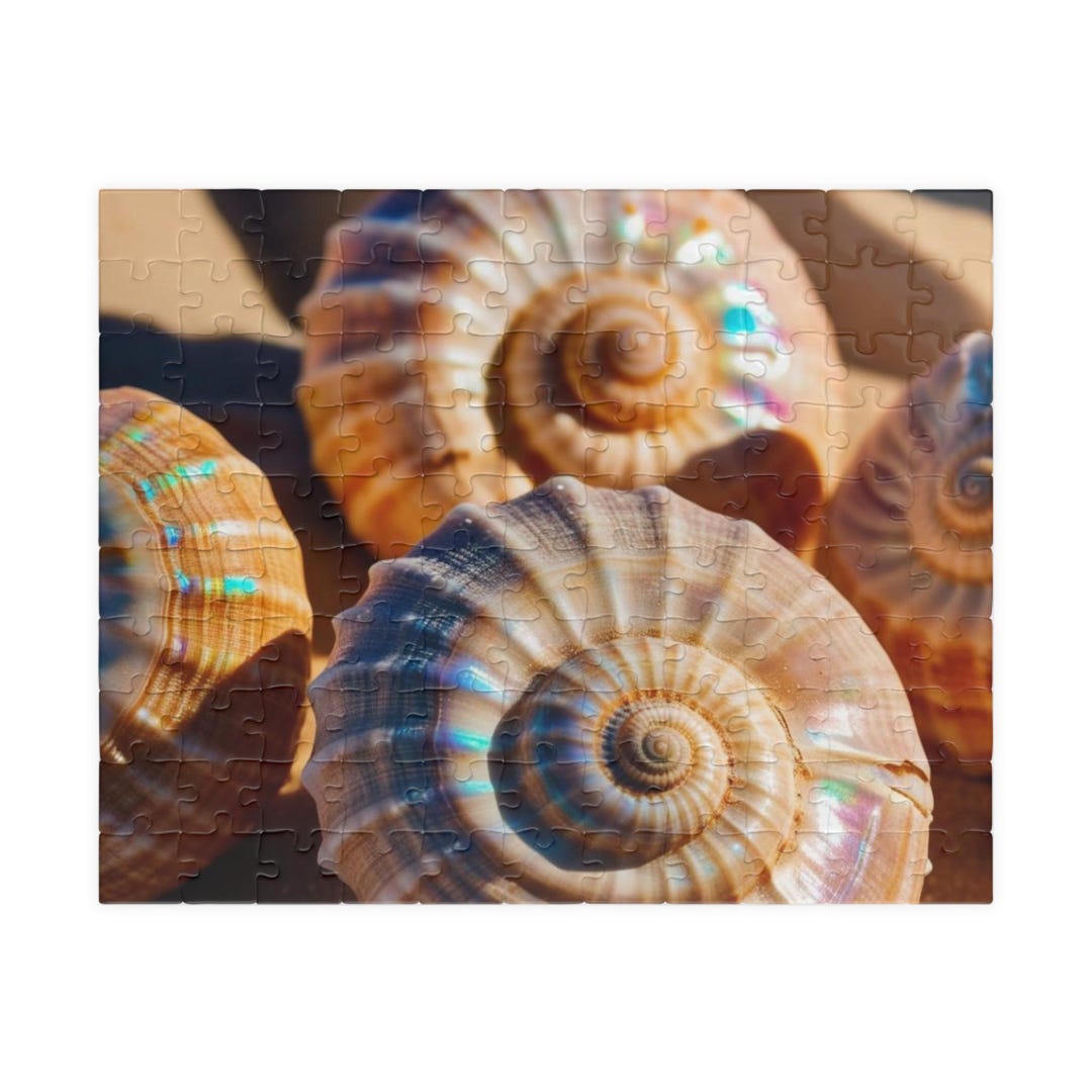 Close up Shells Puzzle (110, 252, 520, Piece) - Etsy