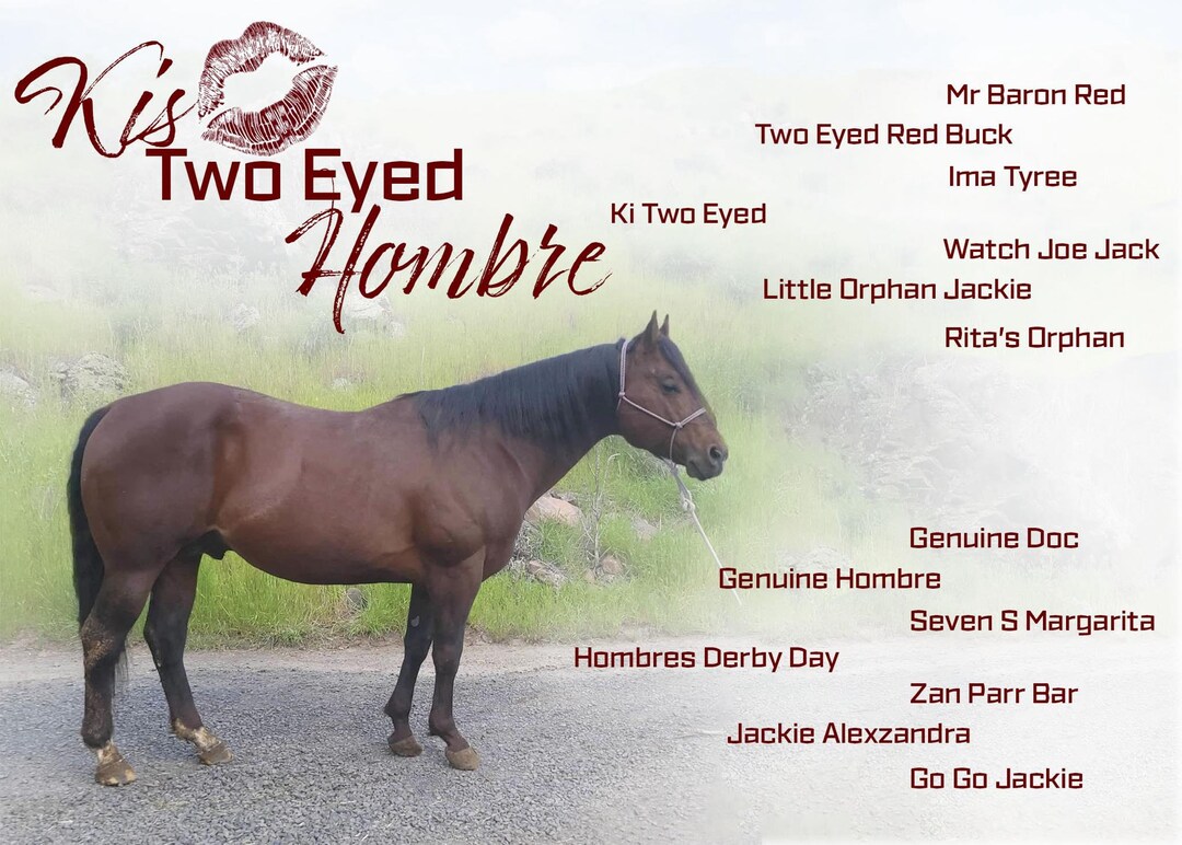 Custom Stud Flyer - Etsy