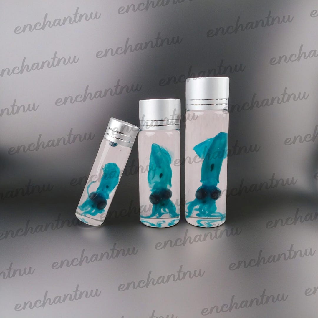 Transparent Stained Squid Wet Specimens, Real Squid Specimens, Blue ...
