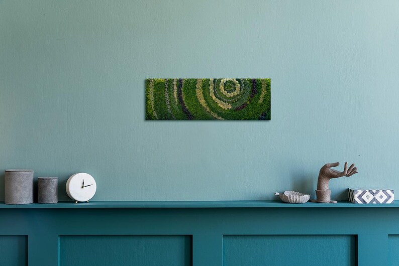 Cactus Succulent Green Wall Art Decor - Etsy