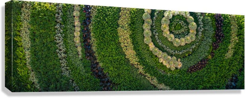 Cactus Succulent Green Wall Art Decor - Etsy