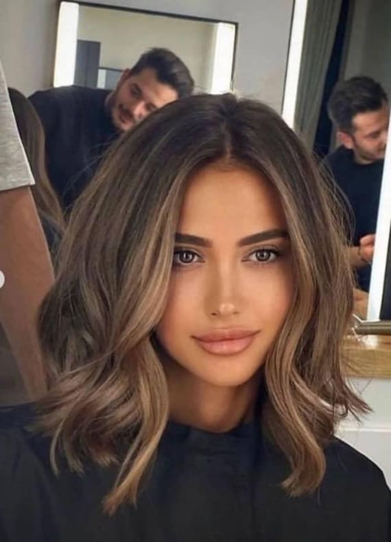 Blonde Highlights Brown Hair