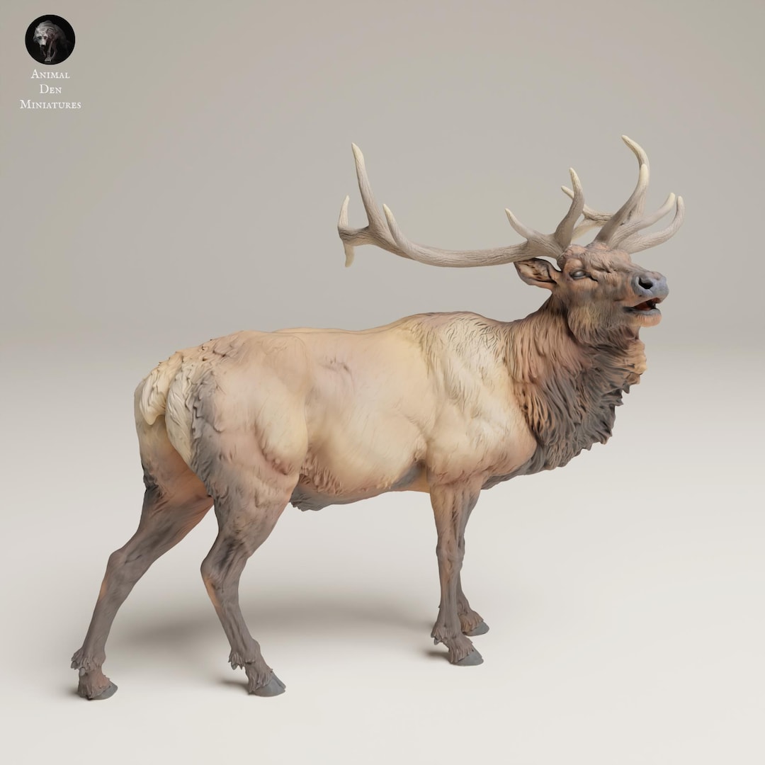 Rocky Mountain Elk | UNPAINTED | Plant-based Resin 3d Print | Nature ...