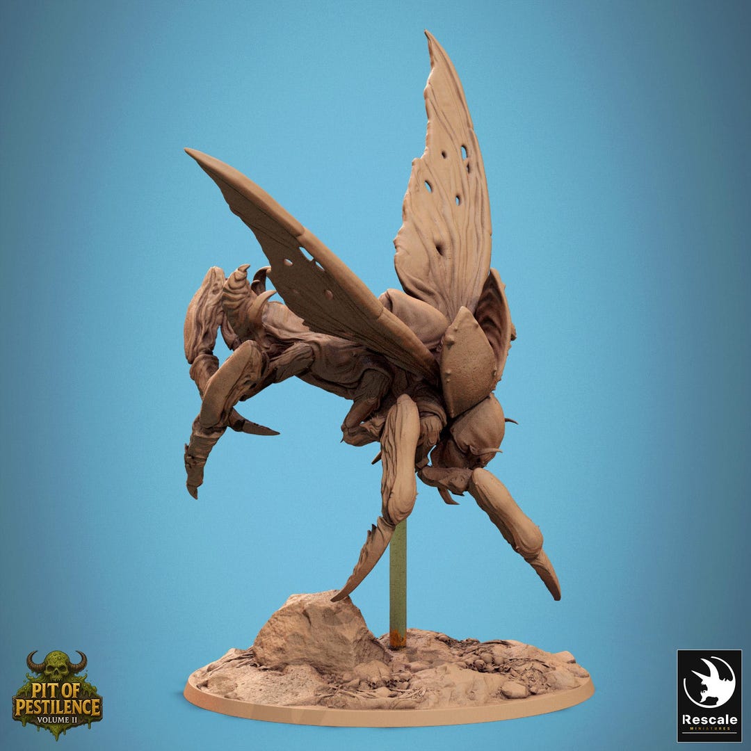 Scarab Host Fly Wild | 32mm and More Scales | Plant-based Resin 3d ...