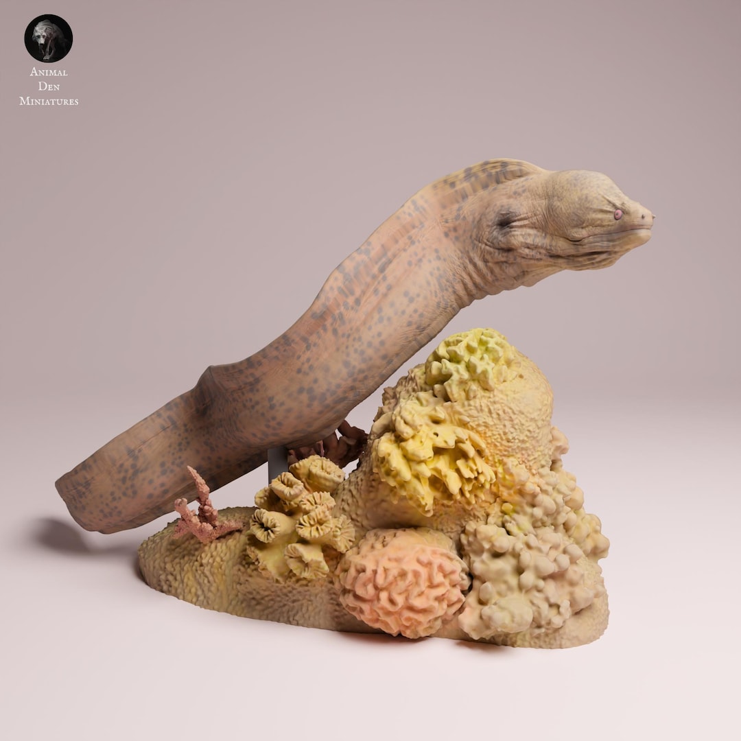 Giant Moray Eel | UNPAINTED | Plant-based Resin 3d Print | Nature ...