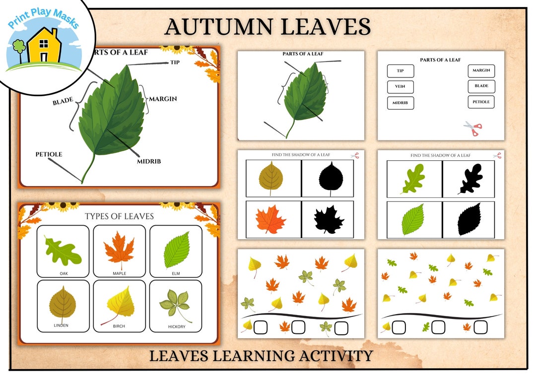 Autumn Busy Book, Printable Quiet Book, Homeschool Learning Materials ...