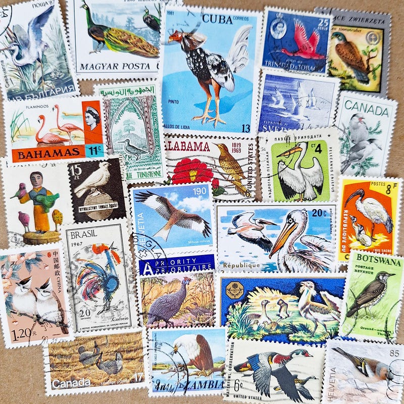 Theme Birds on Stamps - Etsy