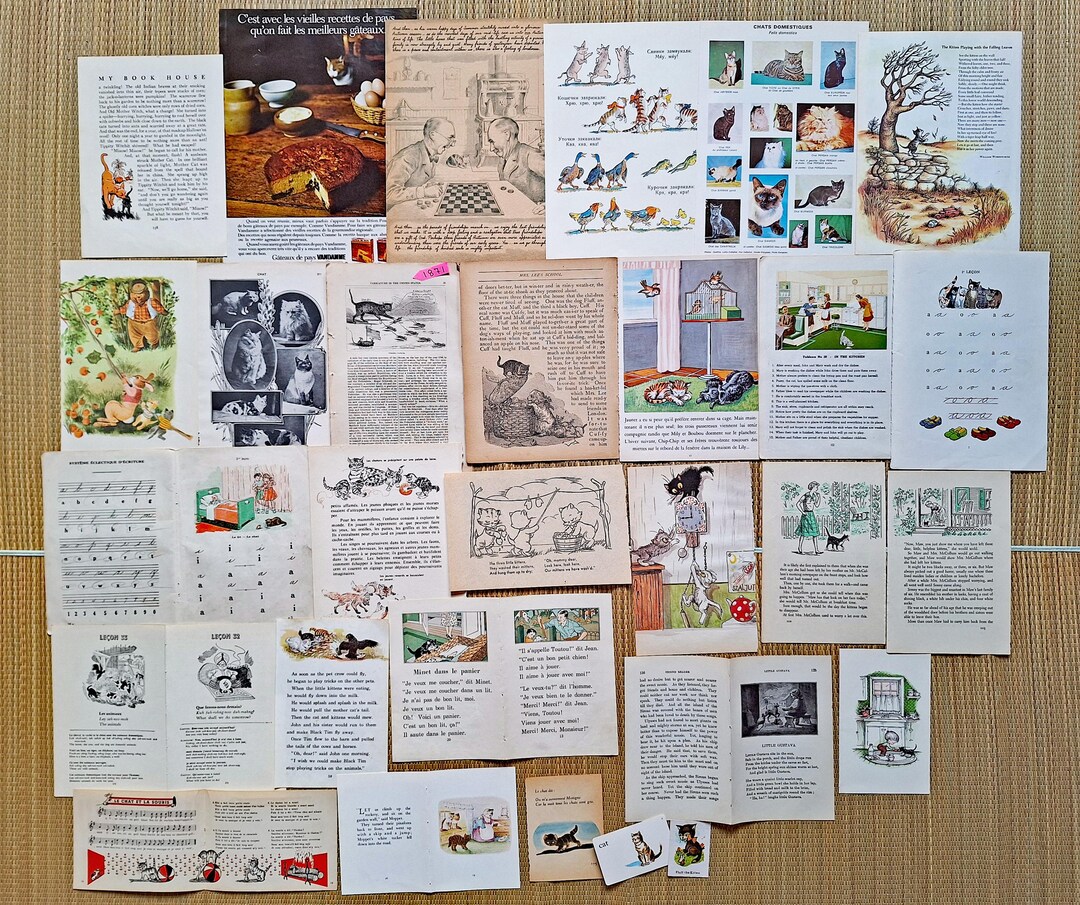 CATS Theme Page Kit - Etsy