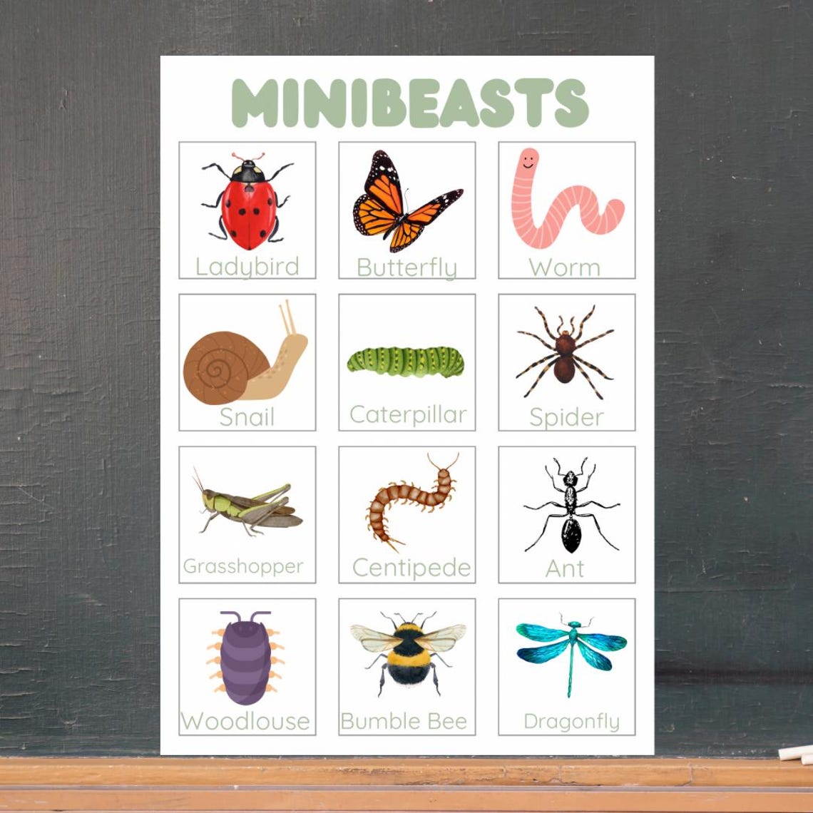 Mini Beasts Themed Vocabulary Sheet, Children's Communication Aid ...