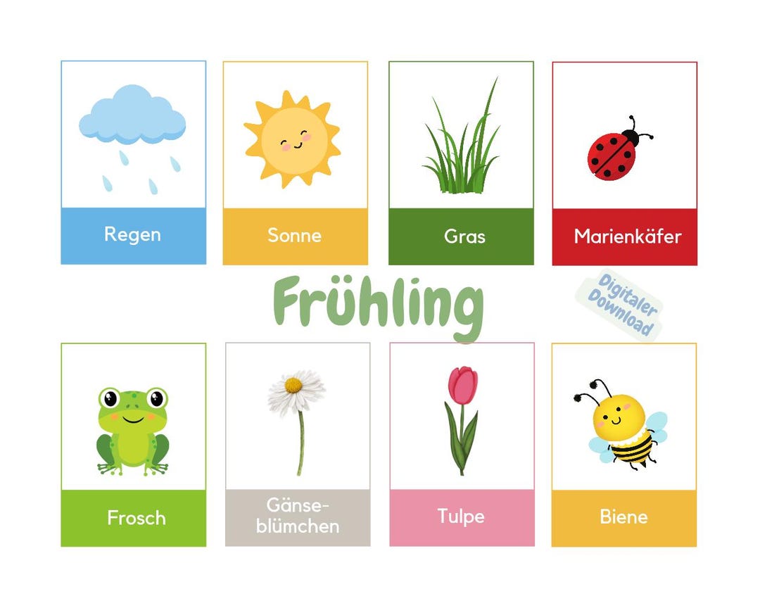 Picture Cards Spring Flash Cards Learning Cards for Children Digital ...