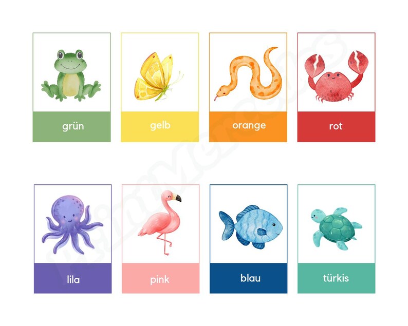 Picture Cards Colors - Flash Cards Animals - Learning Cards for ...