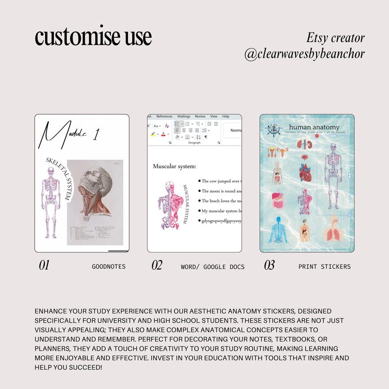 Systems of the Body - Digital Anatomy Stickers - Etsy